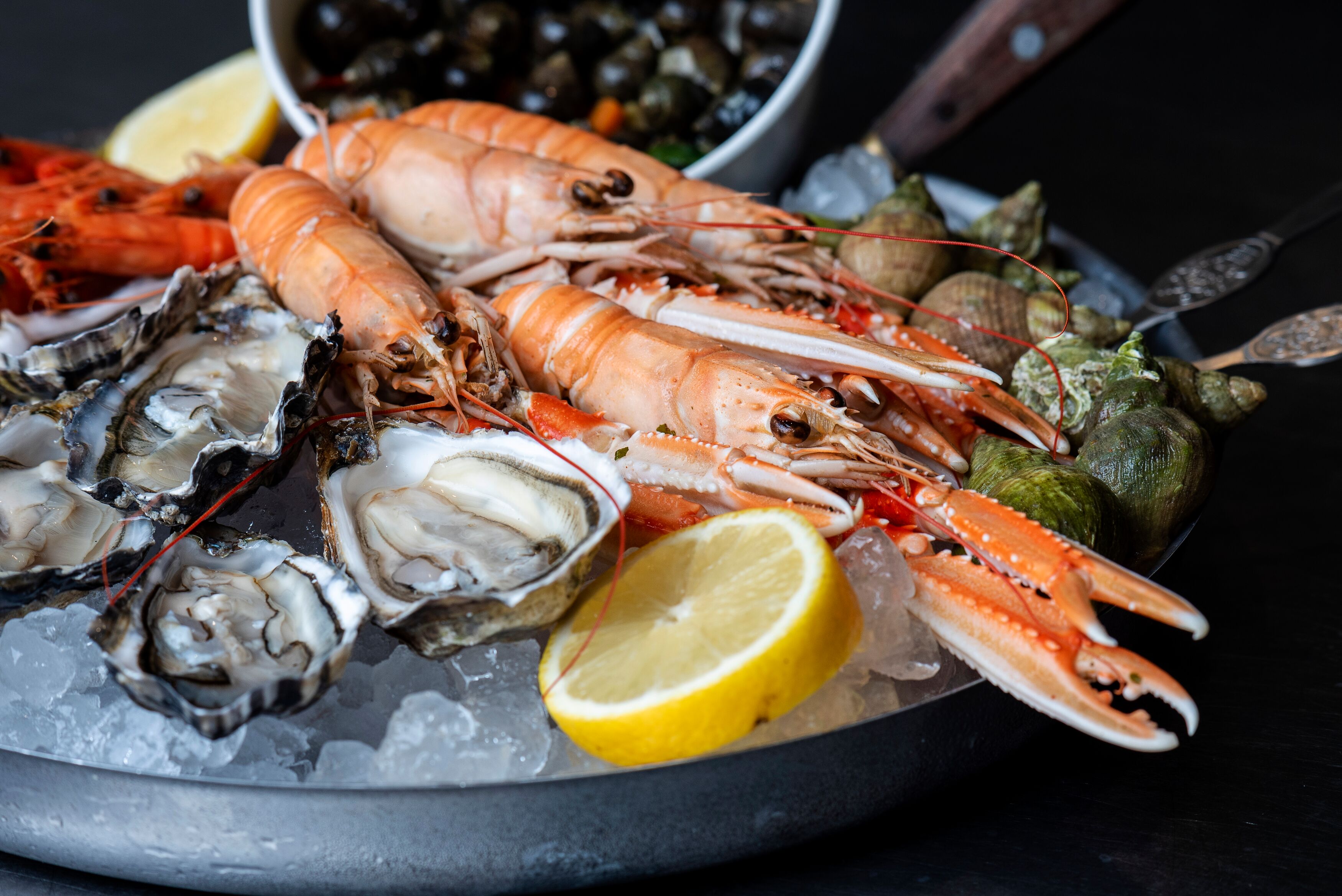 Catch of the day: brilliant fish restaurants in Antwerp | Visit Antwerpen