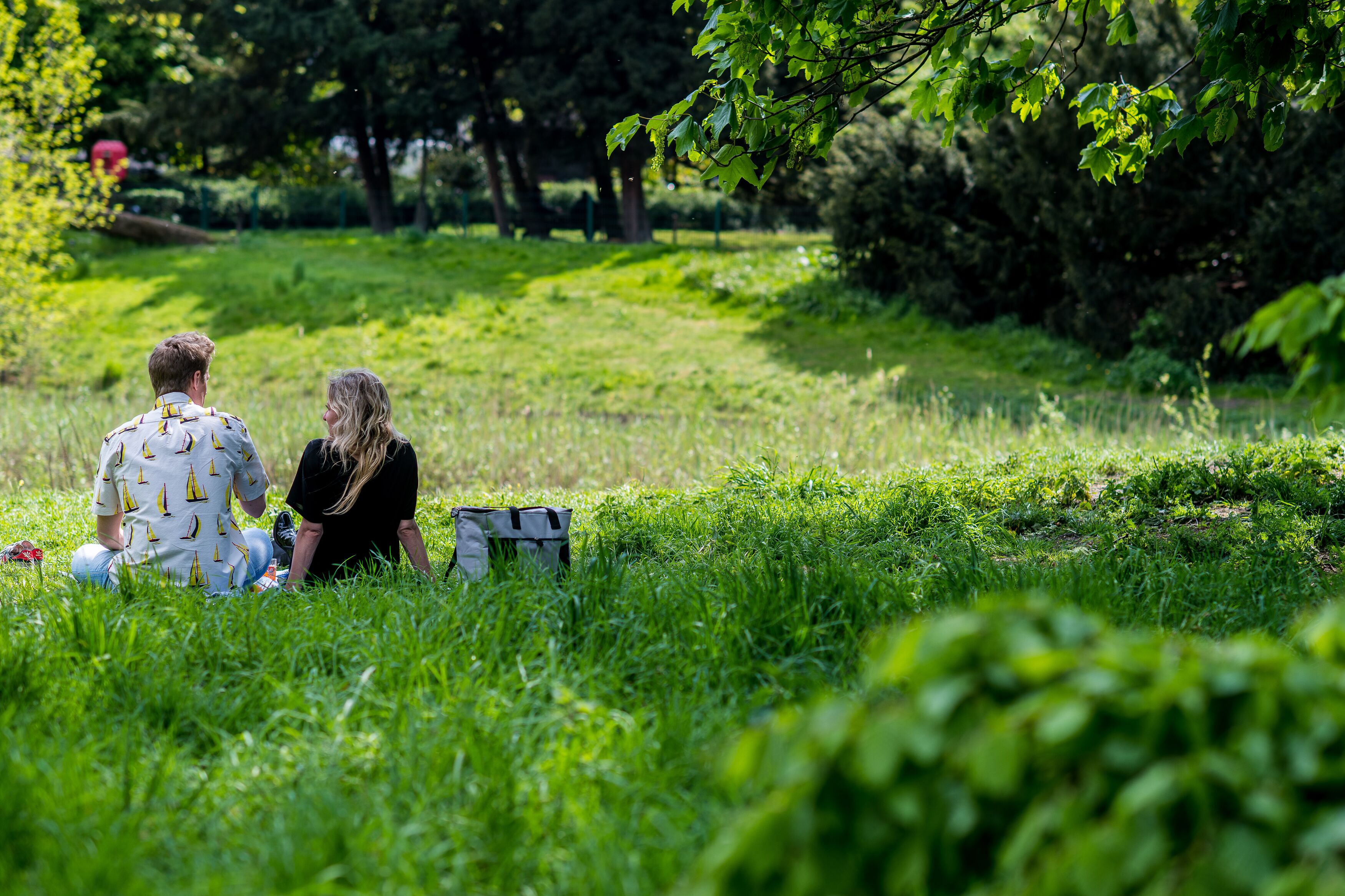 Relax in Antwerp’s parks and green spaces | Visit Antwerpen