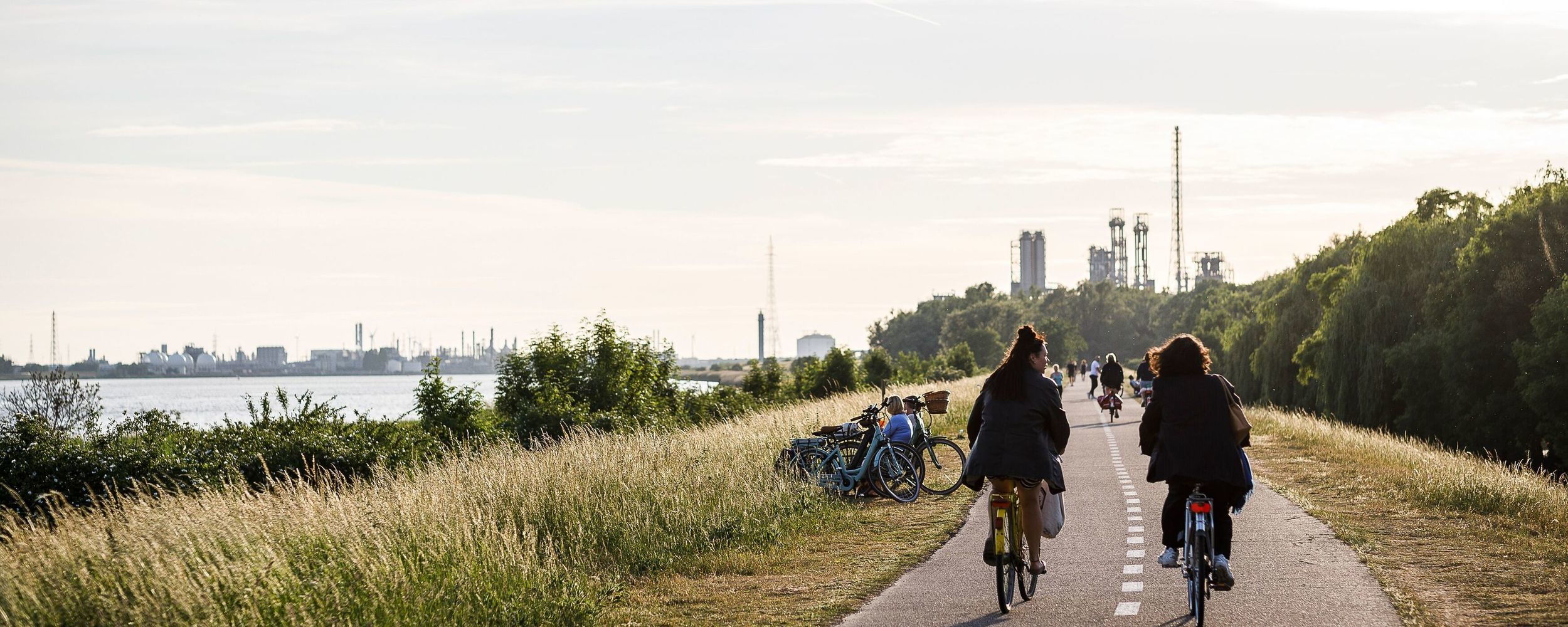 Top 10 Attraktionen für einen unvergesslichen Besuch in Antwerpen ...